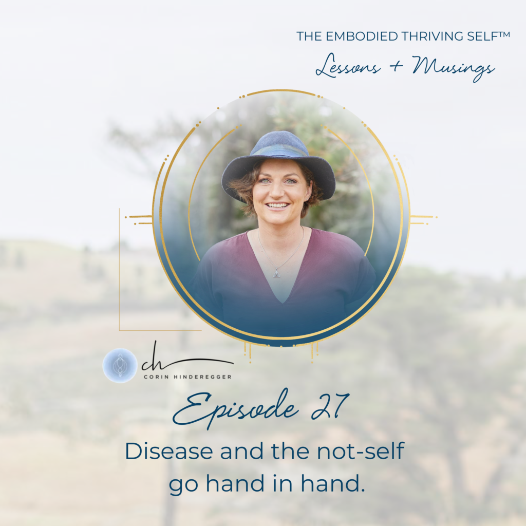 Episode 27: The relationship between disease and the not-self. | Corin ...